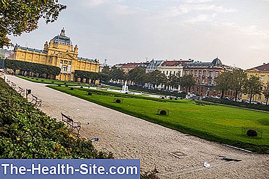 Bubreg Potkove: Uzroci, Znakovi, Dijagnoza, Posljedice 💊 Znanstveno ...