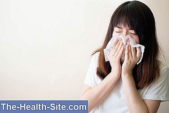 Gejala Alergi Debu Rumah: Anda Harus Memperhatikan Ini! 💊 Ilmiah ...