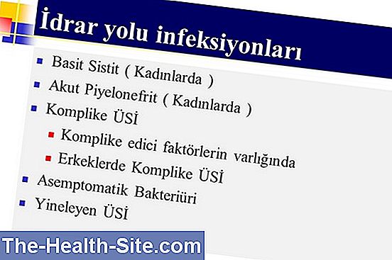 Sefuroksim: Etkiler, Endikasyonlar, Yan Etkiler 💊 Bilimsel-Pratik Tıp ...